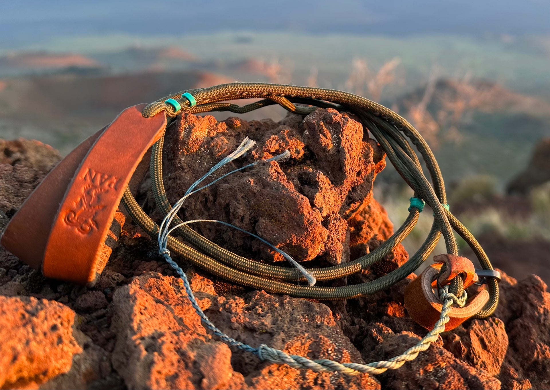 Pan Slings - Welcome Back to Slinging